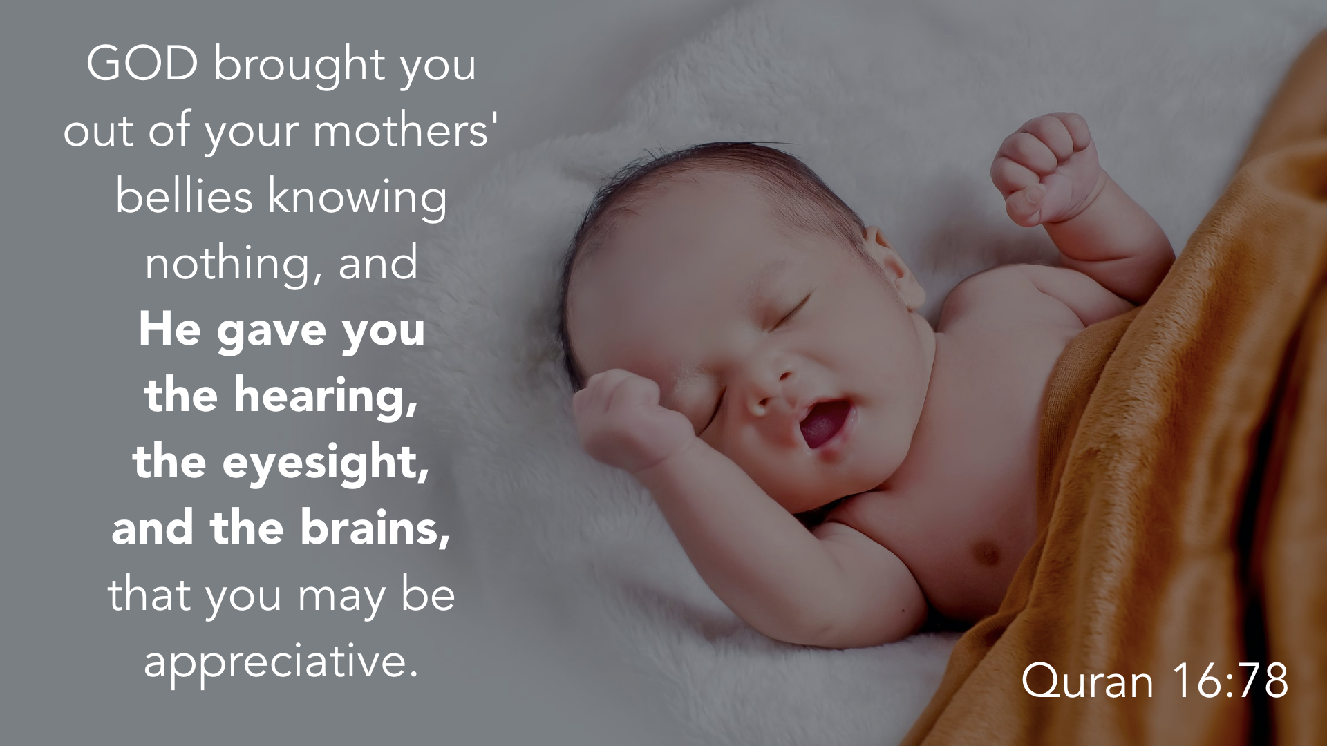 Hearing, Eyesight and Brains – Quran Talk Blog